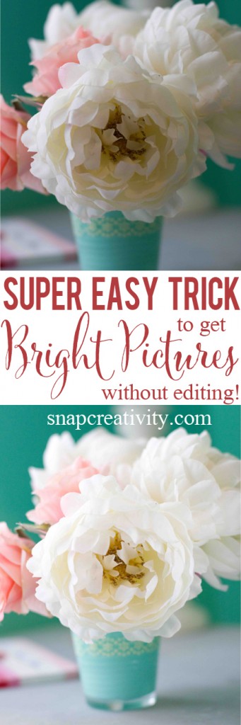 Make a Light Reflector- A Quick, Free Trick To Brighter Photos! | Tauni ...